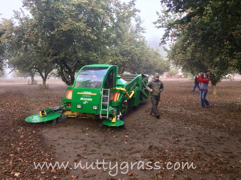Hazelnut Harvest & a New Harvester (for a day) – NuttyGrass