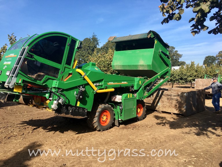 Hazelnut Harvest & a New Harvester (for a day) – NuttyGrass