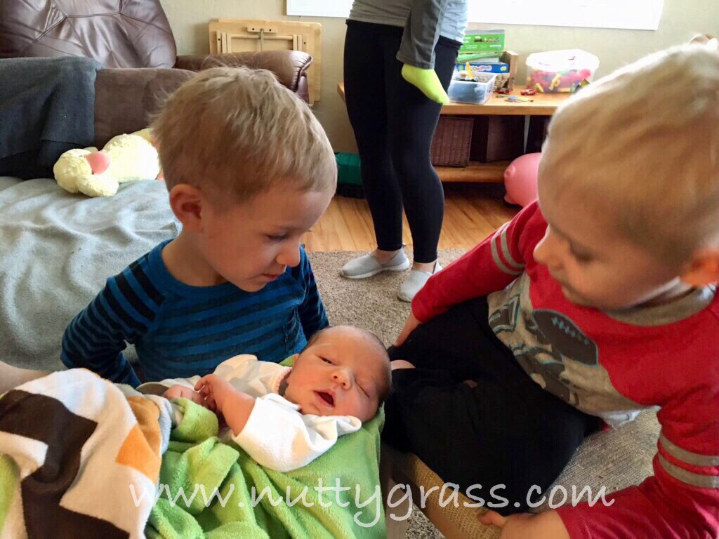 Meet Miss Mildred Clara Frketich – NuttyGrass