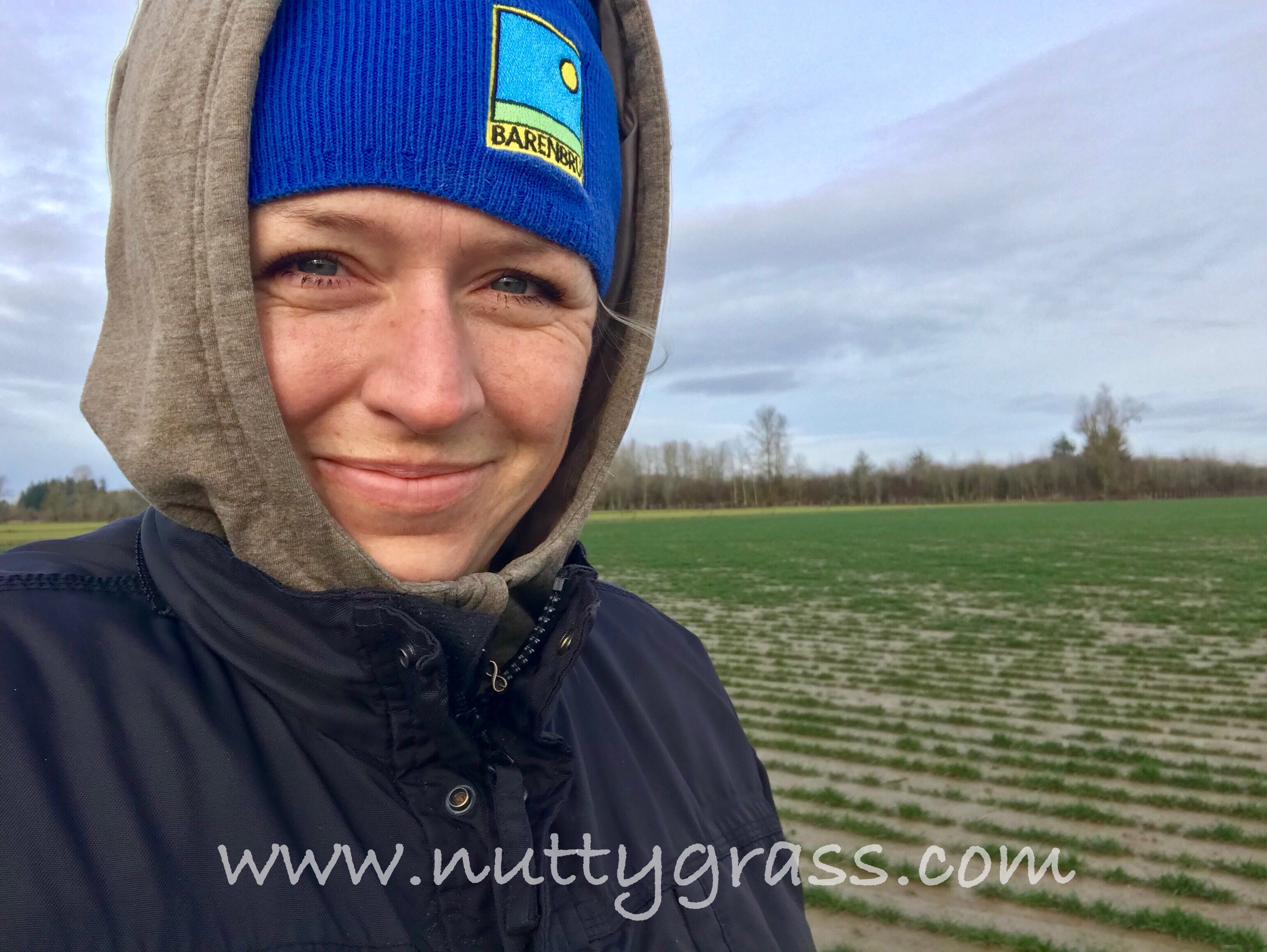 Eagle Decoys – NuttyGrass